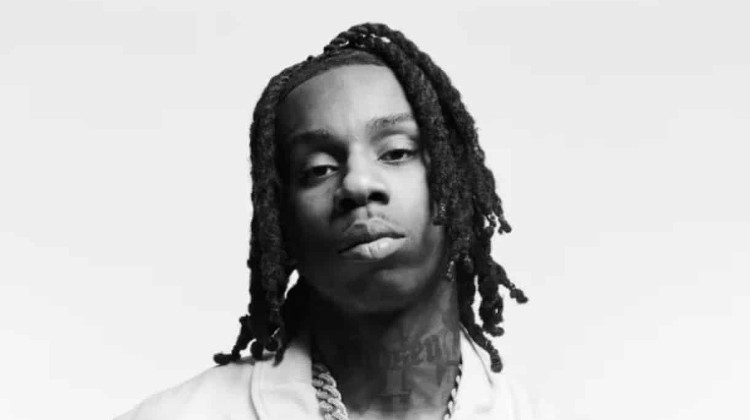 Polo G: Hall of Fame 2.0 - Review - Vinyl Chapters